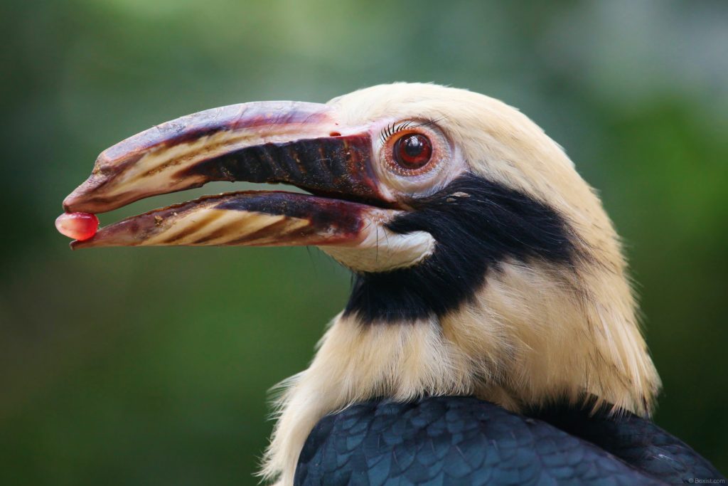 Sam Mugraby / Photography Studio